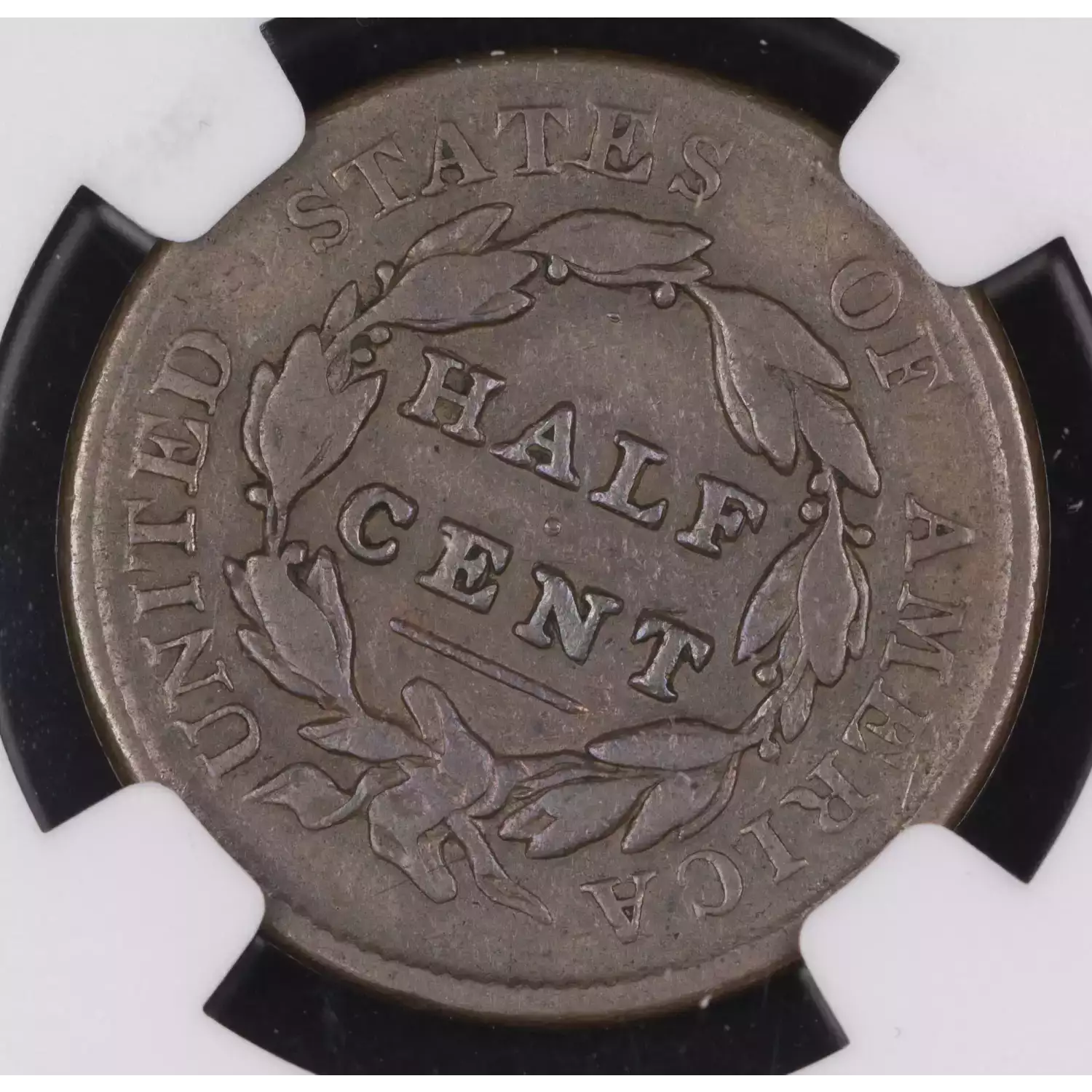 1829 Half Cents Classic Head 1809 - 36 NGC VG-8 BN C-1 - Hertel's Coins ...