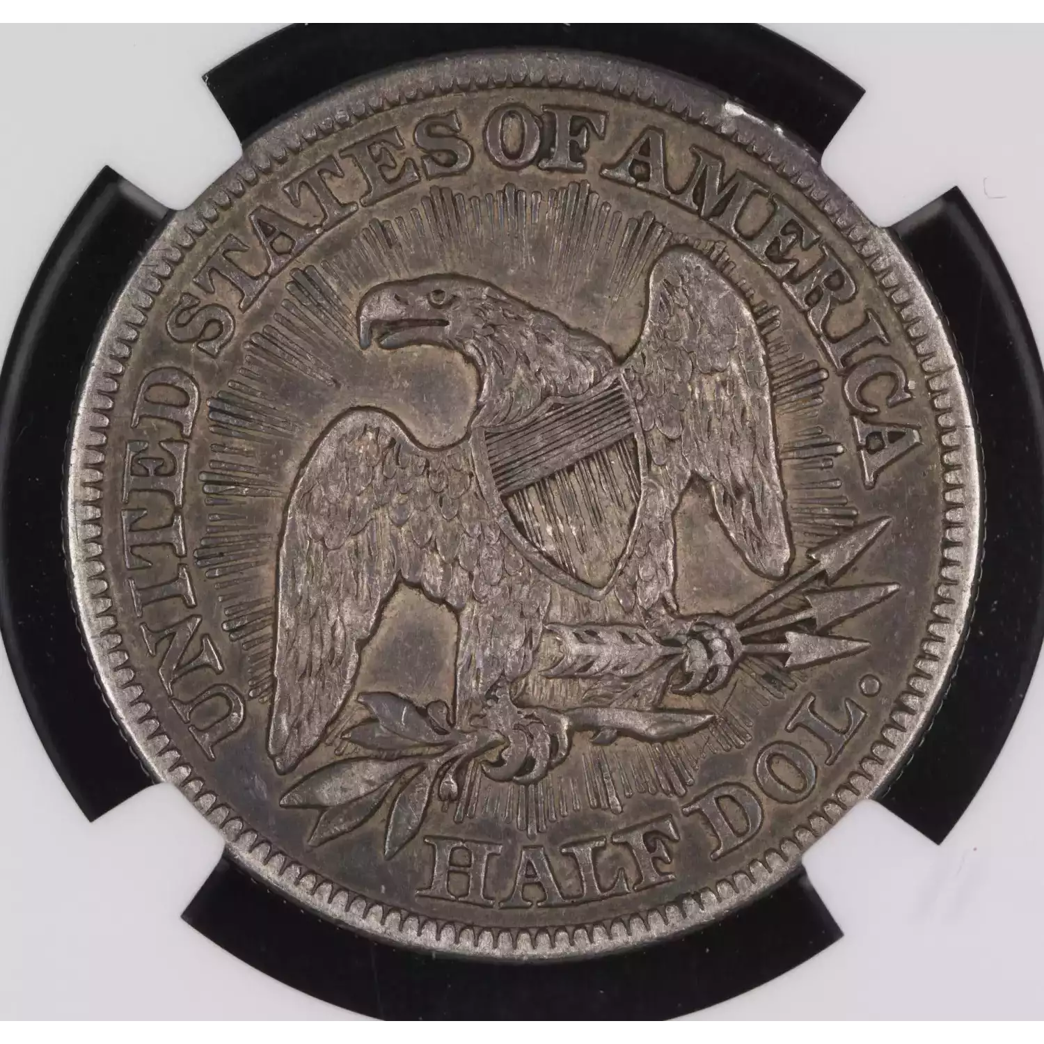 1853 Half Dollars Liberty Seated NGC XF-40 ARROWS - Hertel's Coins Inc.