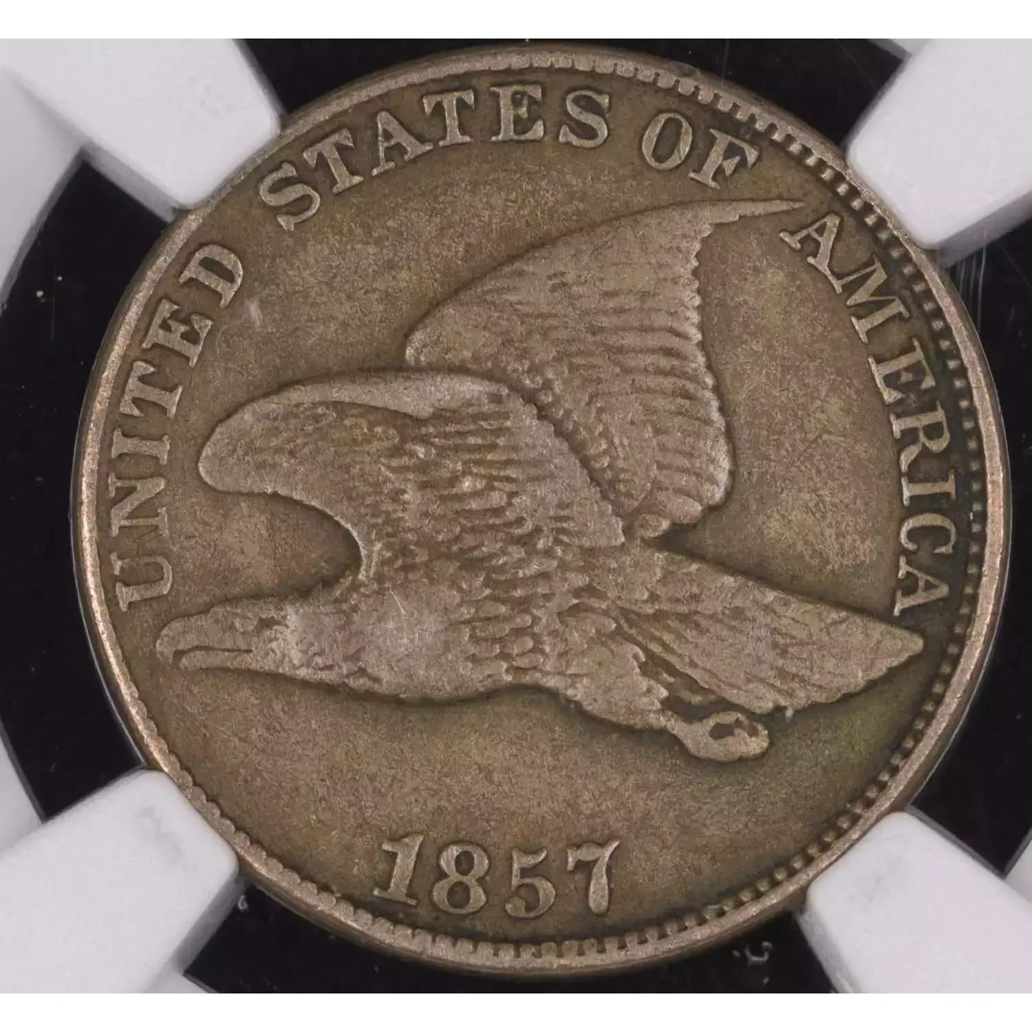 1857 Small Cents Flying Eagle NGC VF-30 - Hertel's Coins Inc.