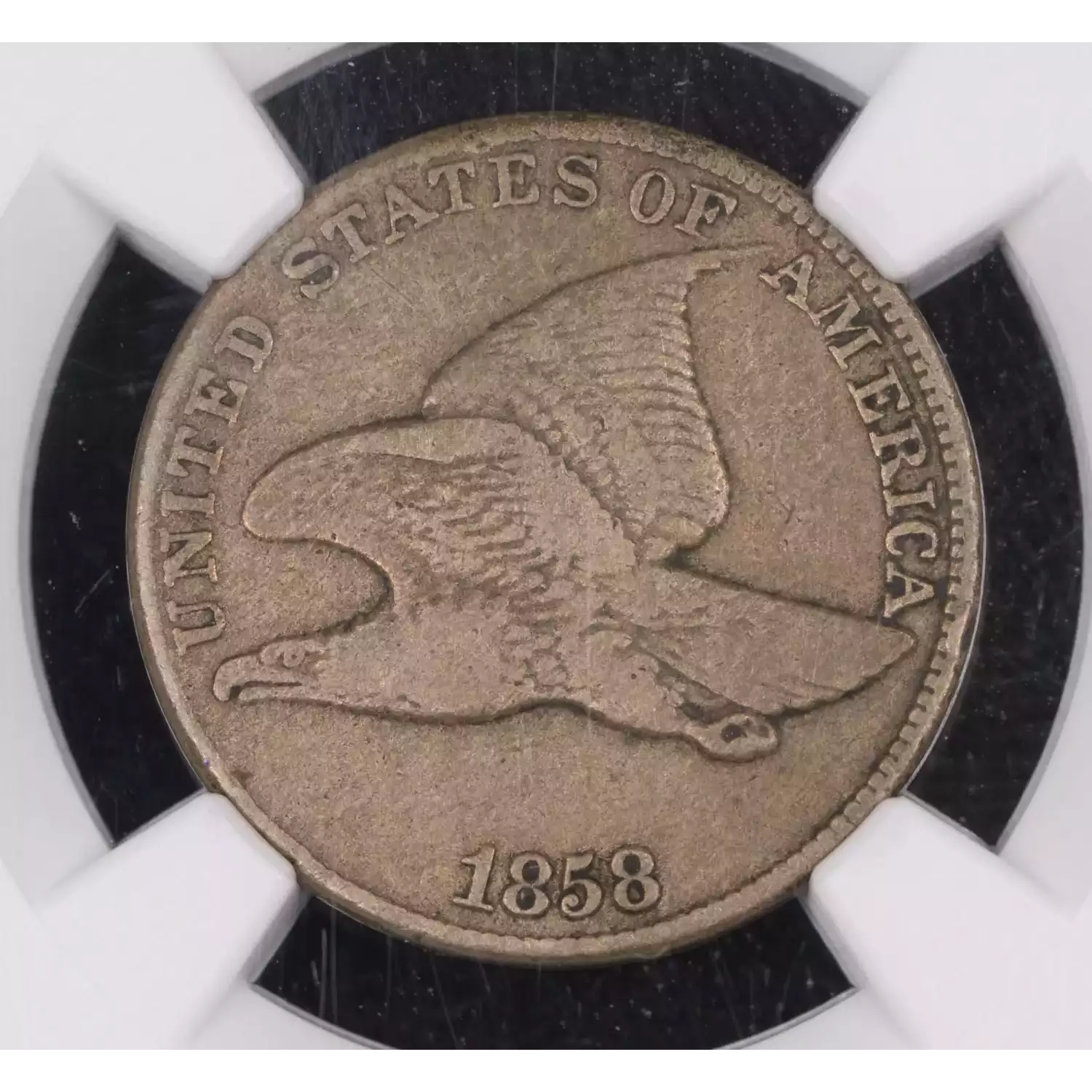 1858 Small Cents Flying Eagle NGC VF-25 LARGE LETTERS - Hertel's Coins Inc.