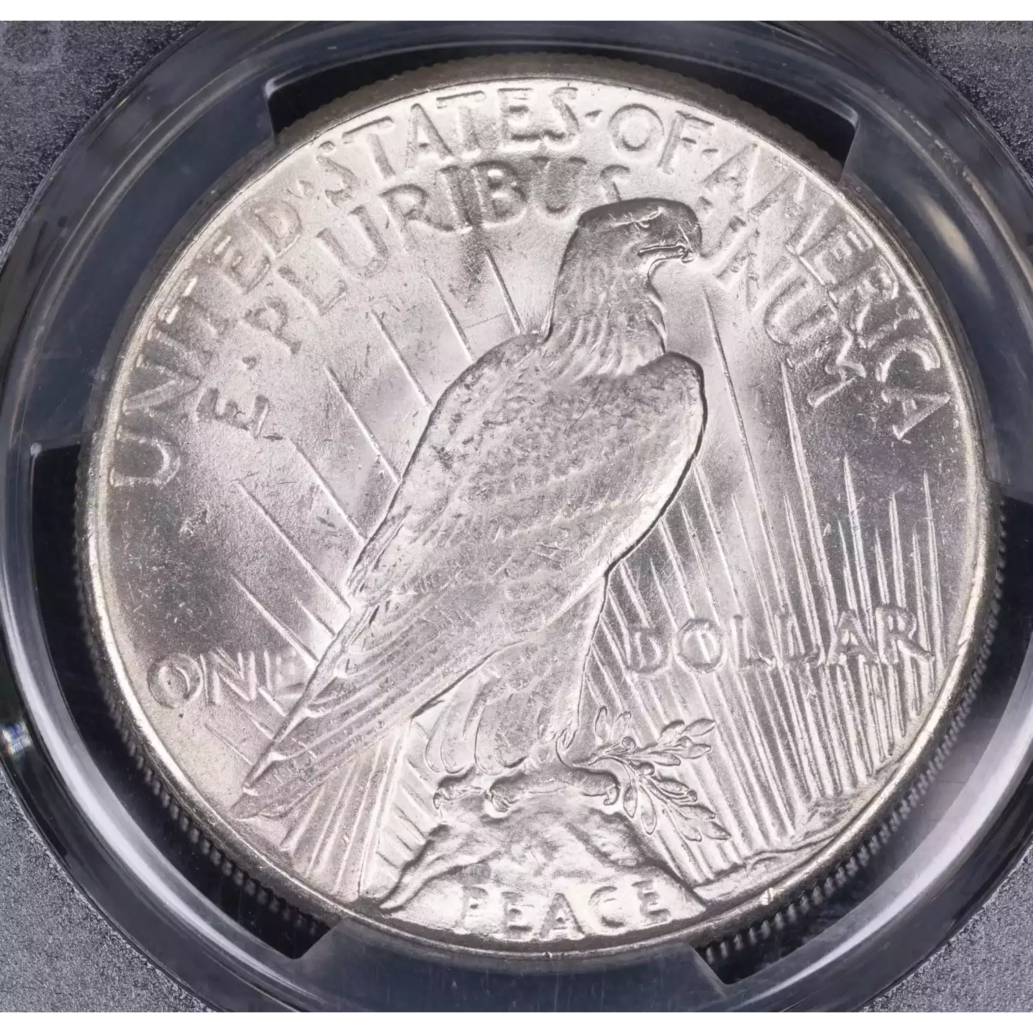 1928 Peace Silver Dollar PCGS MS-64 - Hertel's Coins Inc.