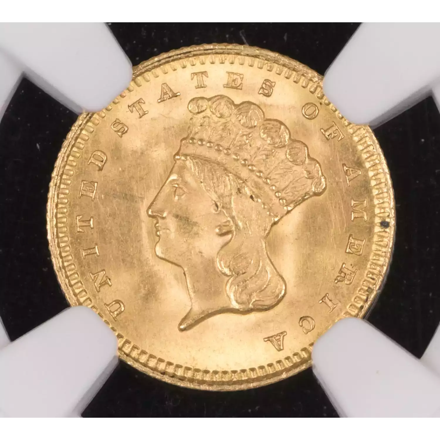 1858 Indian Princess Large Head Gold Dollar NGC MS-64 - Hertel's Coins Inc.