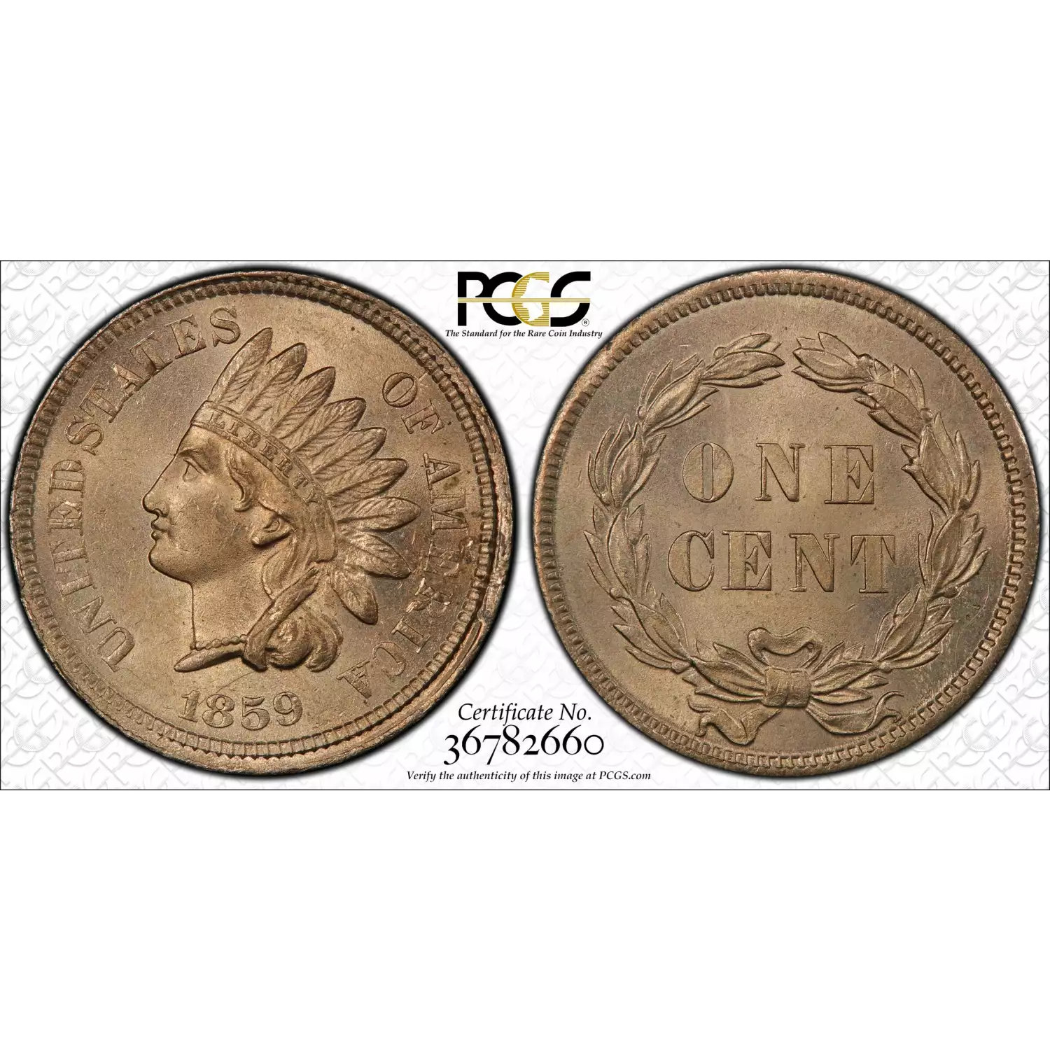 1859 PCGS MS-64 Small Cents Indian Head - Hertel's Coins Inc.